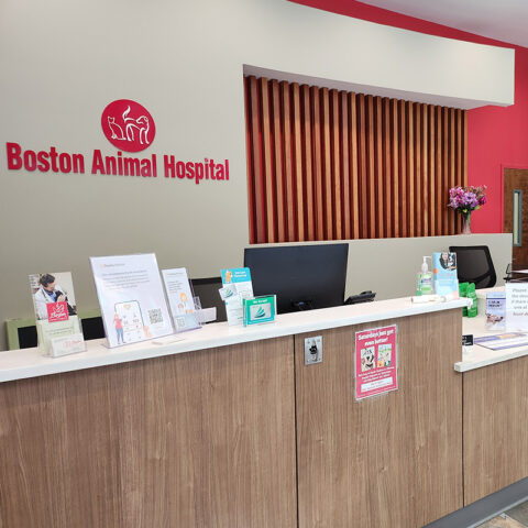 Contact Us | Boston Animal Hospital North Station